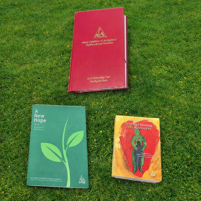 Newcomer Bundle - Save 10% – Adult Children of Alcoholics and ...